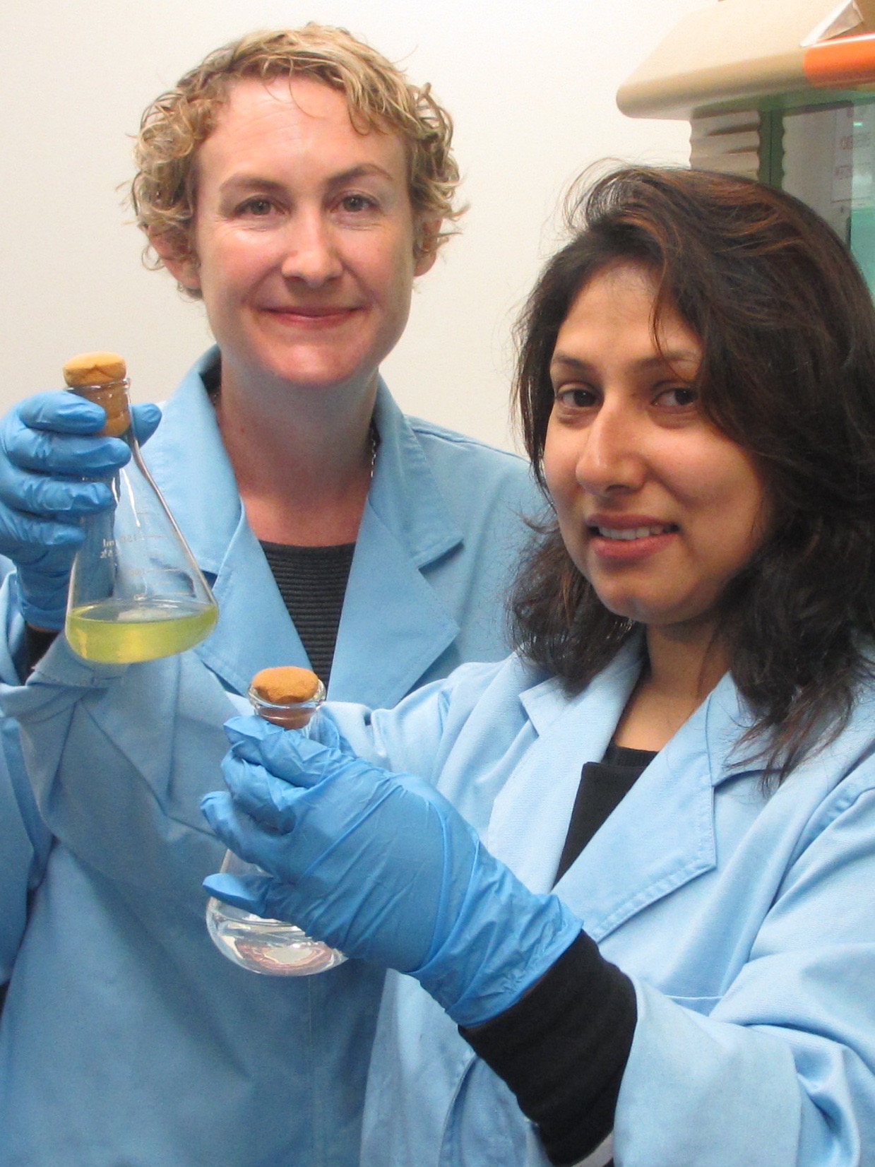 Plastic pollution harms oxygen-producing ocean bacteria | Australian ...
