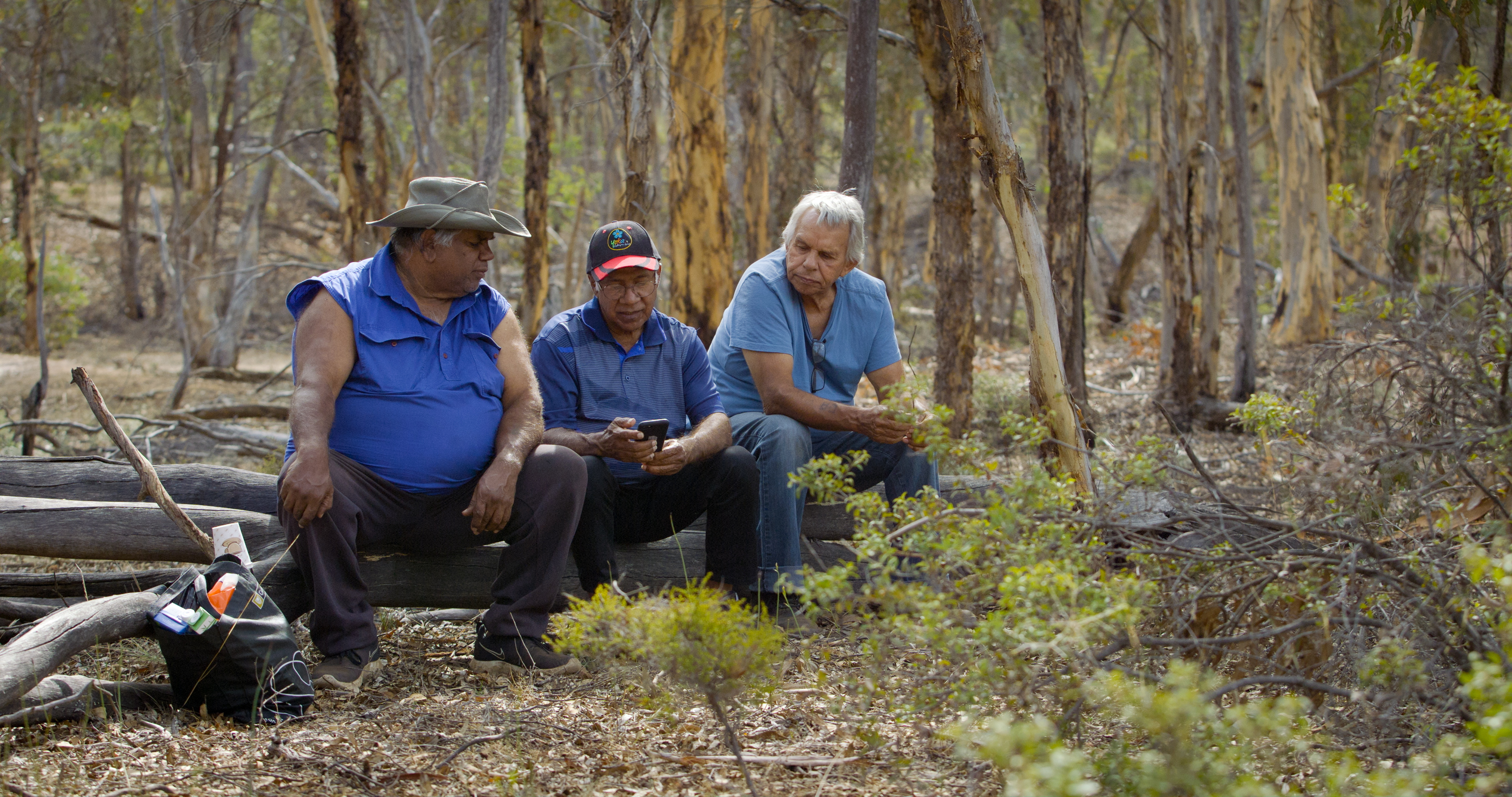 Healing land and people with biodiversity research | Australian ...