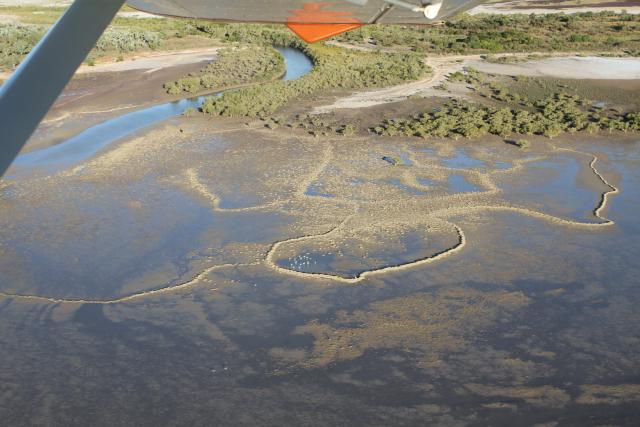 Studying Aboriginal stone-walled fish traps in the Gulf of Carpentaria ...