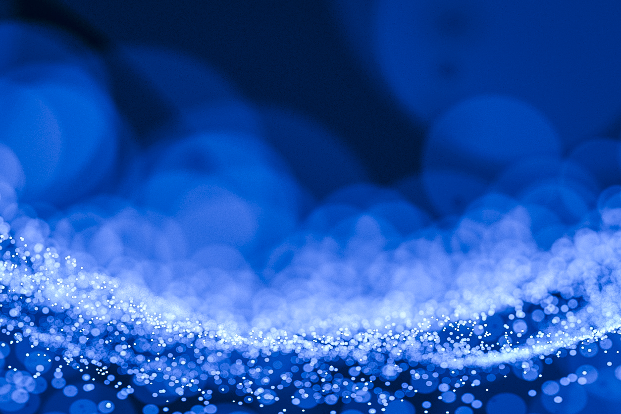 Announcement of Grants – Discovery Early Career Researcher Award 2026 ...