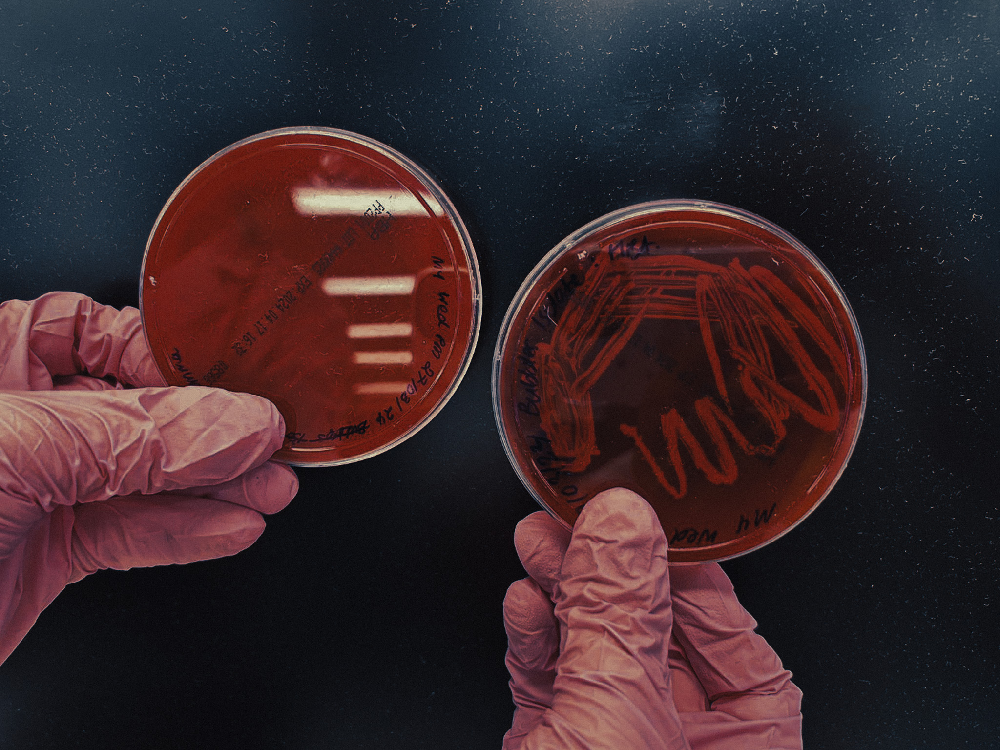 Kids, bugs and drugs: Human-microbial relations in everyday family life ...